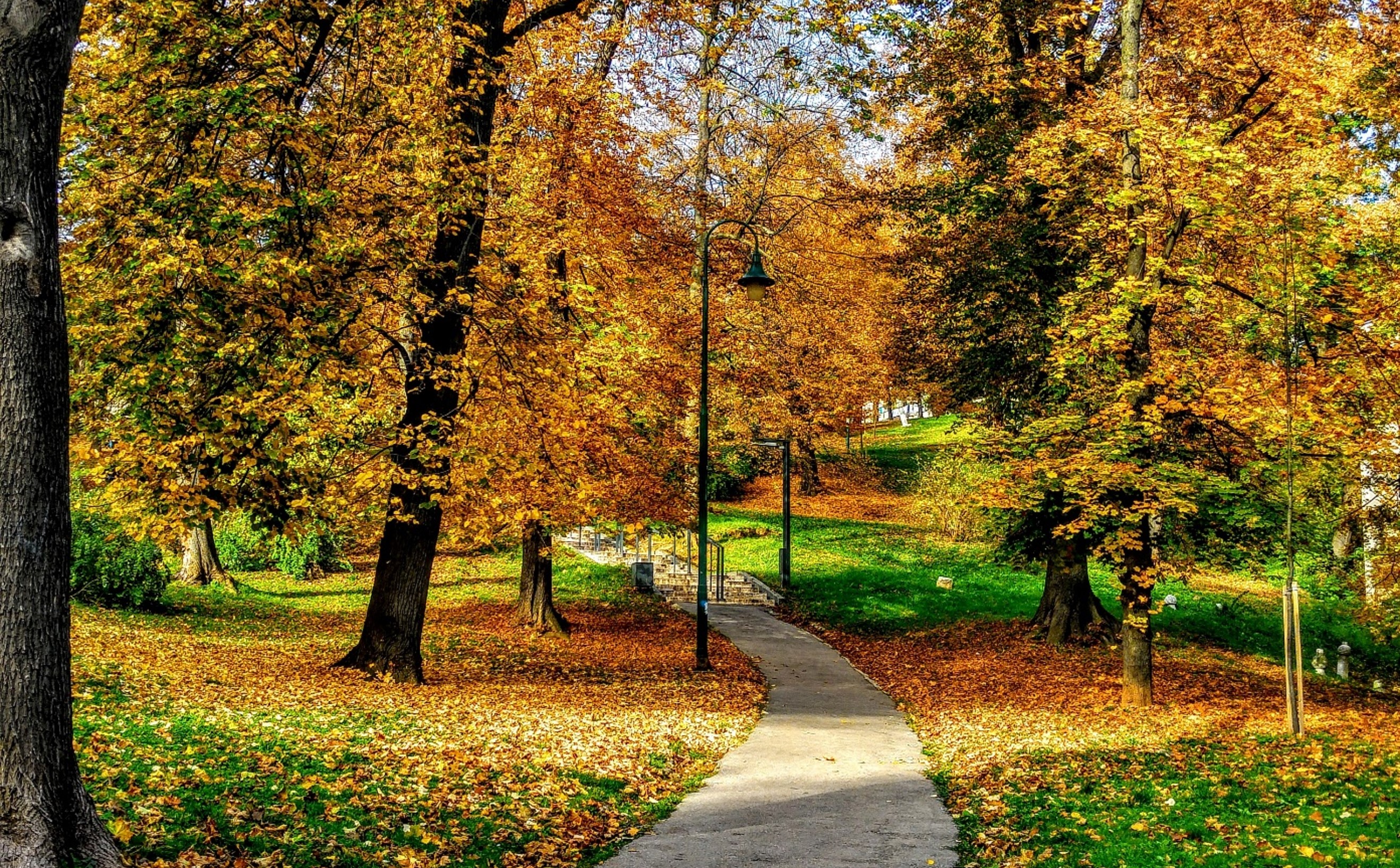 UNaLab Buddy System | UNaLab